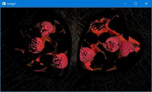 Color Filtering in Python using OpenCV - CodeSpeedy