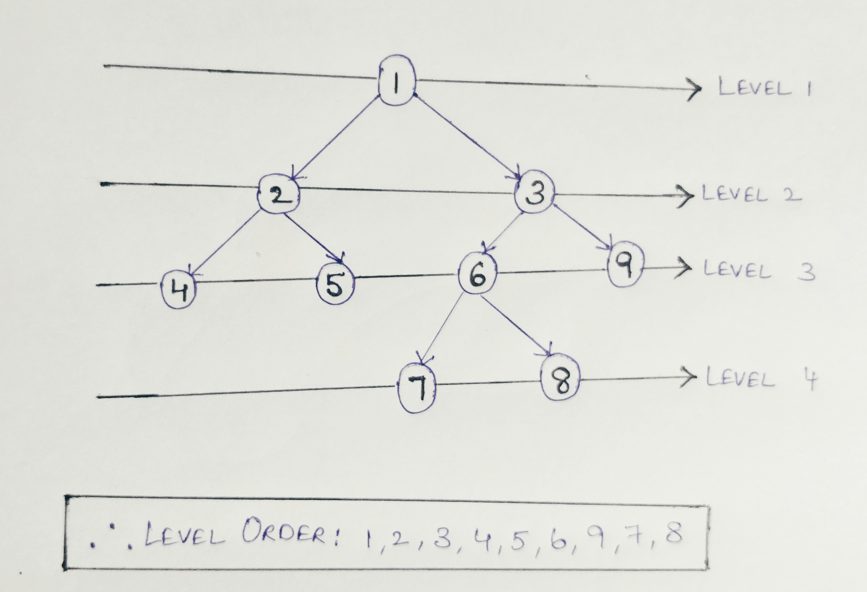 Level Order Tree Traversal Implementation In Java CodeSpeedy