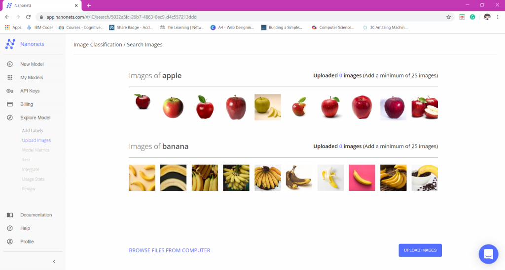 Image classification using Nanonets API in Python - CodeSpeedy