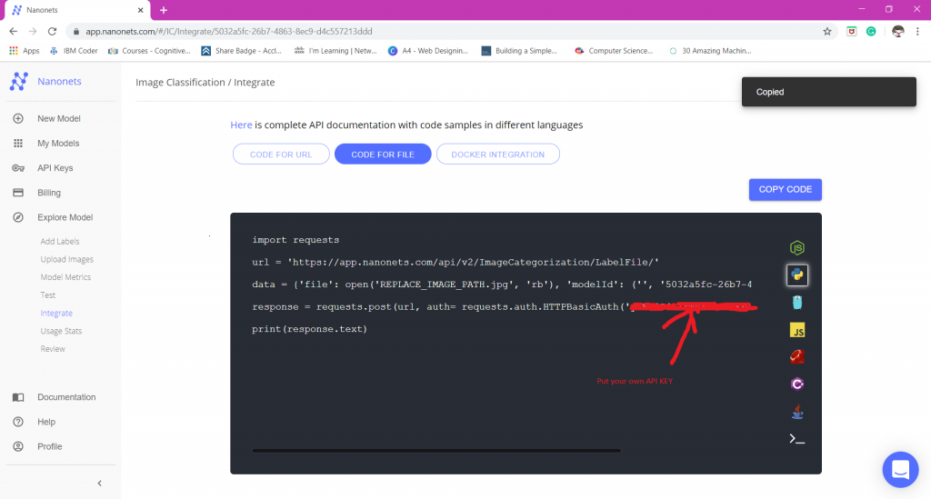 Image classification using Nanonets API in Python - CodeSpeedy
