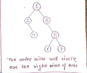 Print Right View of a Binary Tree in Java - CodeSpeedy