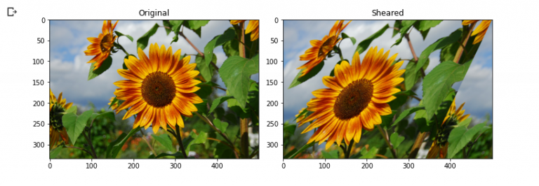 Image Augmentation Using skimage in Python - CodeSpeedy