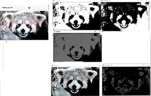 OpenCV Image Thresholding Techniques - Python - CodeSpeedy
