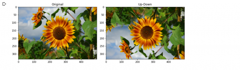 Image Augmentation Using skimage in Python - CodeSpeedy