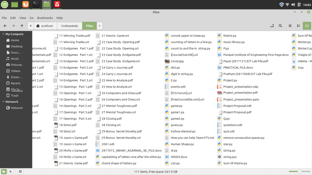 Store files with same extension in Python - CodeSpeedy