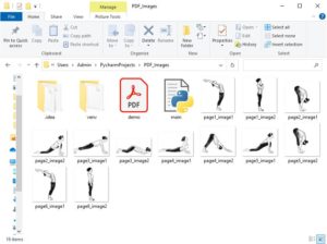 Extracting images from a PDF using Python - CodeSpeedy