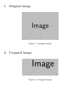 Crop an image in LaTeX - CodeSpeedy