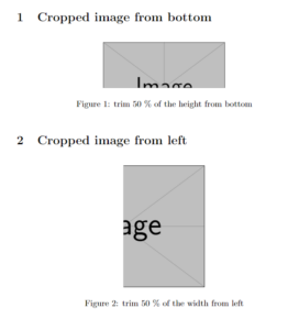 Crop an image in LaTeX - CodeSpeedy