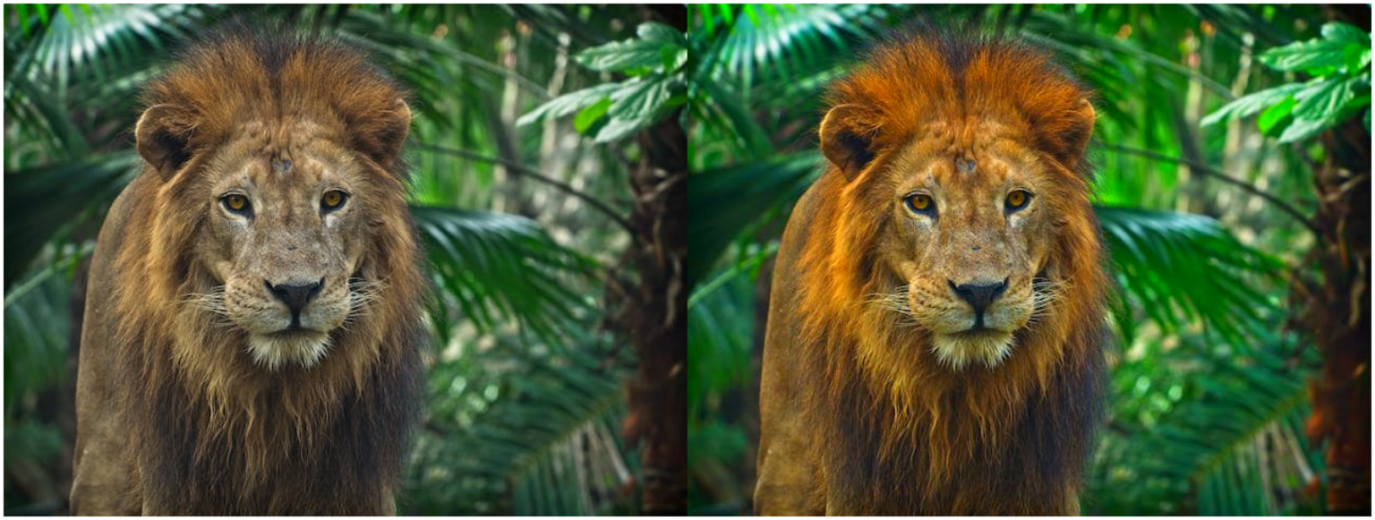 Image Enhancement in Python using Pillow - CodeSpeedy