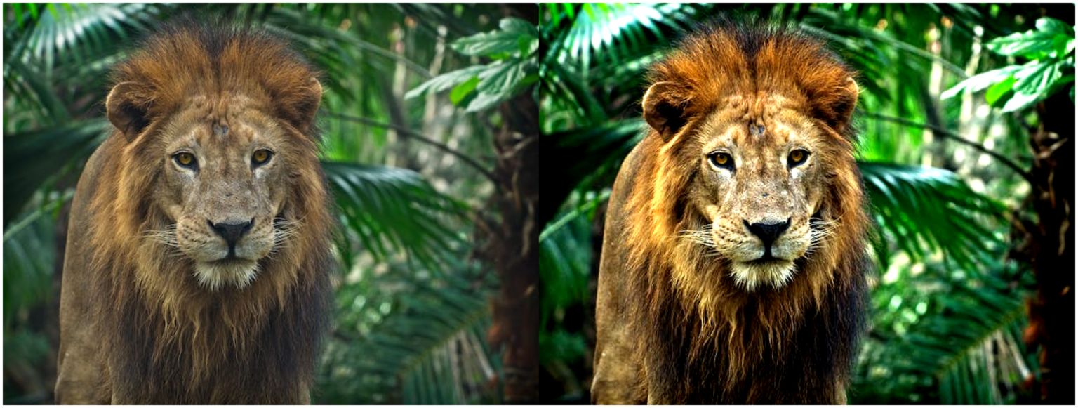 Image Enhancement in Python using Pillow - CodeSpeedy