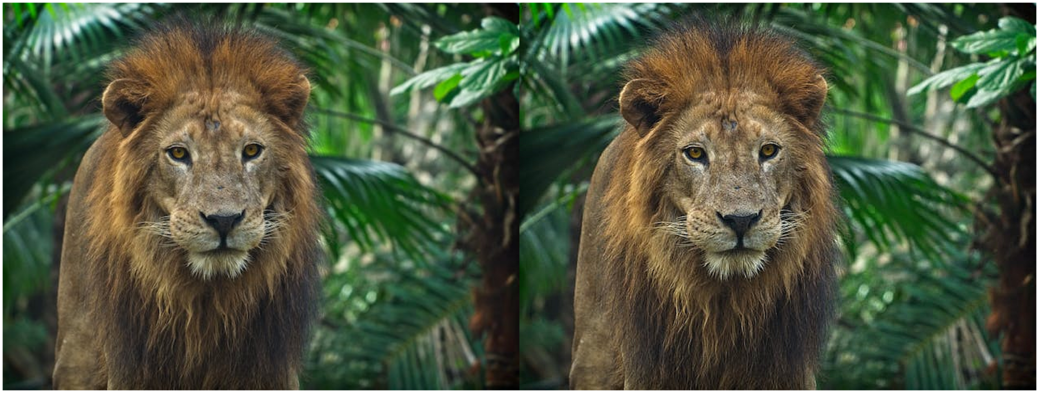 Image Enhancement in Python using Pillow - CodeSpeedy