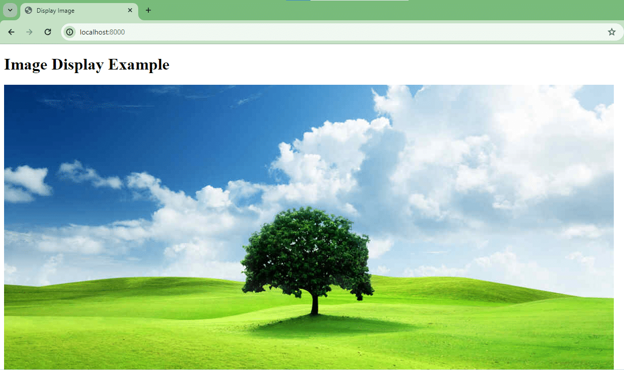 Displaying Images on HTML page using Flask - CodeSpeedy