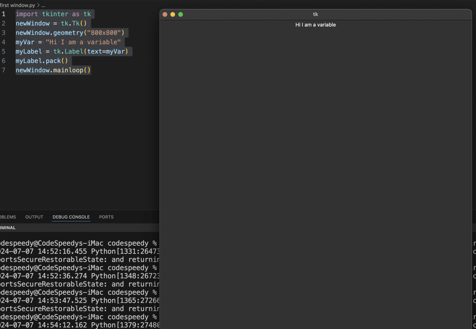 How to set Tkinter Label text through variables - CodeSpeedy