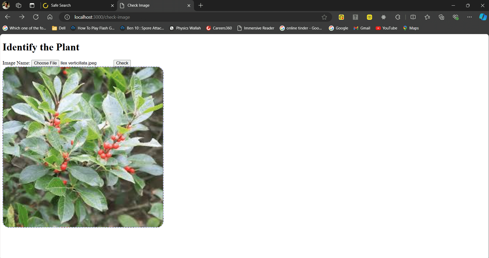Create a web application to determine the presence of the image in ...